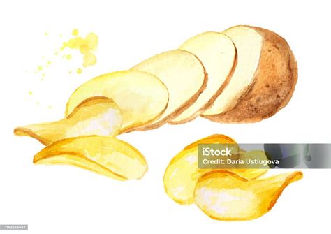 천연 생 감자 조각이 칩으로 변신 수채화 손으로 그린 그림 흰색 배경에 고립 감자 칩에 대한 스톡 벡터 아트 및 기타 이미지