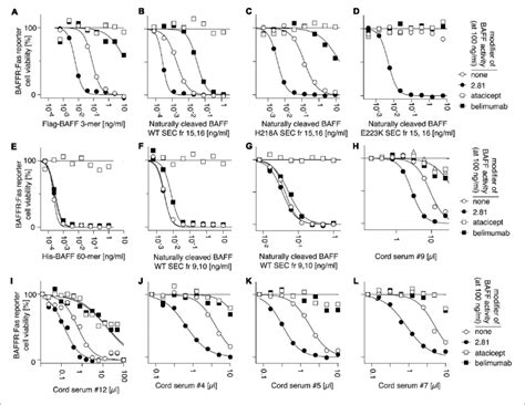 Baff In Cord Blood Is Inhibited By Belimumab As Measured In A Download Scientific Diagram Baff In Cord Blood Is Inhibited By Belimumab As Measured In A Download Scientific Diagram