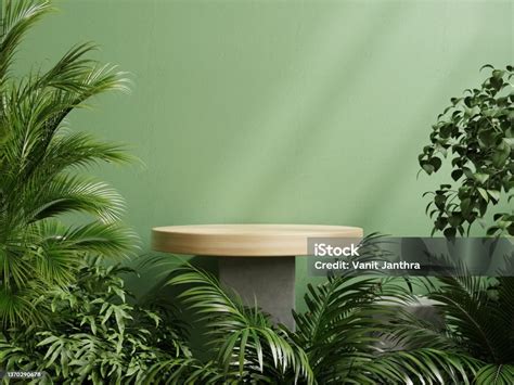 제품 프리젠 테이션을위한 잎 그림자 구성나무 연단 디스플레이 배경 주제에 대한 스톡 사진 및 기타 이미지 배경 주제 자연