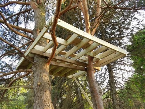 Building A Platform Tree House