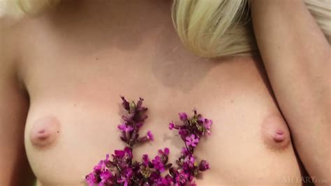 Naked Girl On Meadow