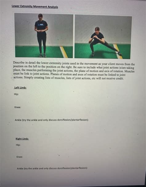 solved lower extremity movement analysis describe in detail