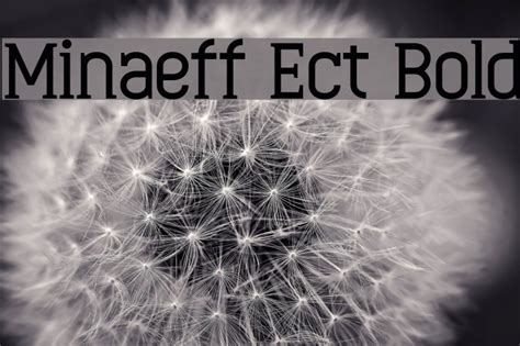 Minaeff Ect Bold Font