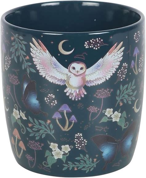 Something Different Wholesale Mystical Navy Blue Owl And Moon Mug 320ml