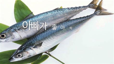 동기유발 자료 Youtube