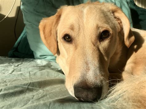 B69 Eb9 A2 0850 46 E0 Ae9 B 91 Ed8 F4 De0 De — Postimages