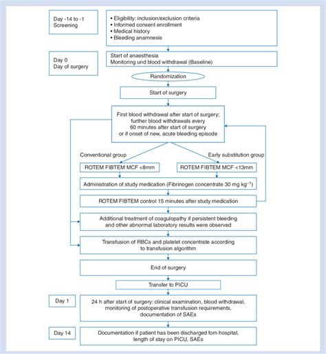 Study Design And Treatment Algorithm Flowchart Showing Details Of