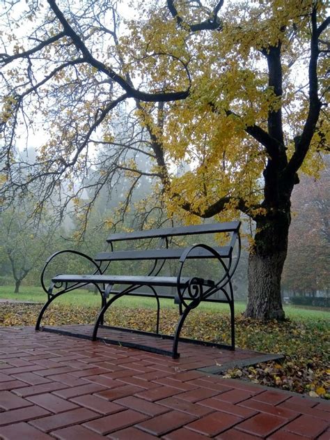 Скамейка в осеннем парке