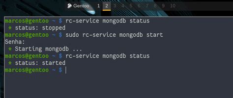 Mongodb Beginner Tutorial Terminal Root