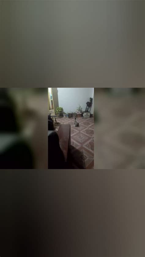 树莓派小车测试 高清1080p在线观看平台 腾讯视频