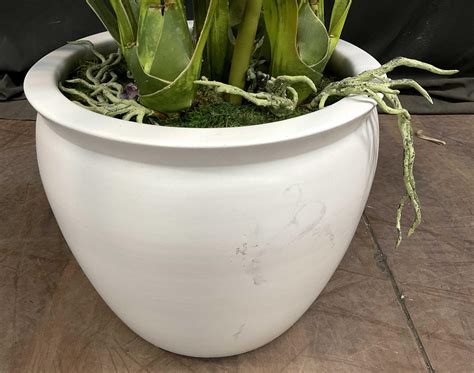 Lot Faux Allium Plant In Ceramic Planter