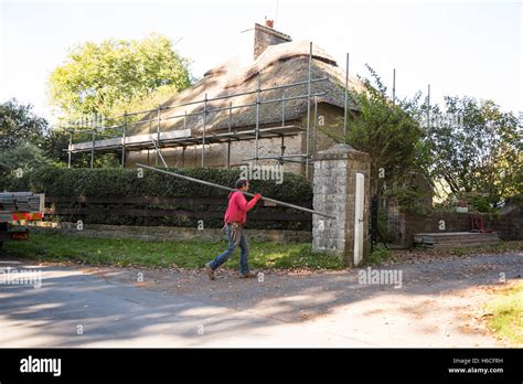 Scaffold Workers Erecting Scaffolding Stock Photo Alamy