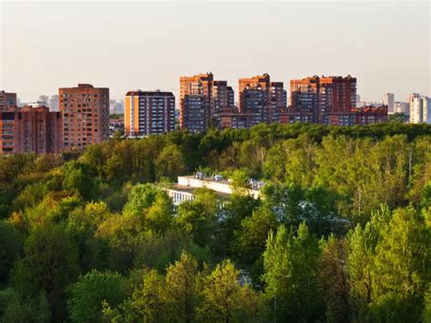 Understanding Key Types Of Zoning Codes For Businesses