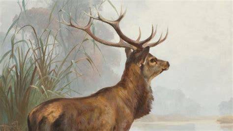 Denne Udstilling Rykker Ved Vores Forestillinger Om At Jage Vildt