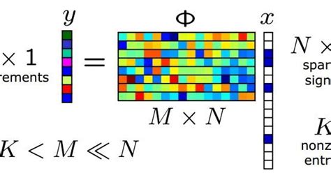 Information Processing The Human Genome As A Compressed Sensor