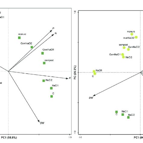 Analysis Of Principal Component Analysis Pca Each Data Point