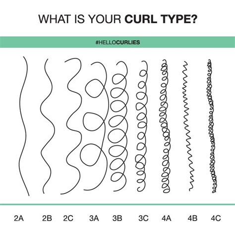 Curl Type Chart Lomiuber