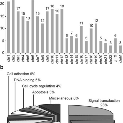 Chromosomal Localization And Functional Categories Of Cebpδ Target