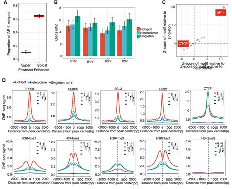 AP 1 Subunits Converge Promiscuously At Enhancers To Potentiate Transcription
