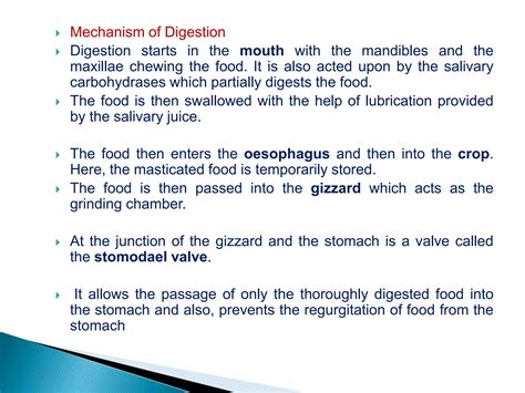 Digestive System Of Cockroach Ppsx Food And Drink