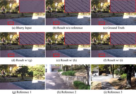 Ablation Result Of Using Different Reference Images On The Gopro