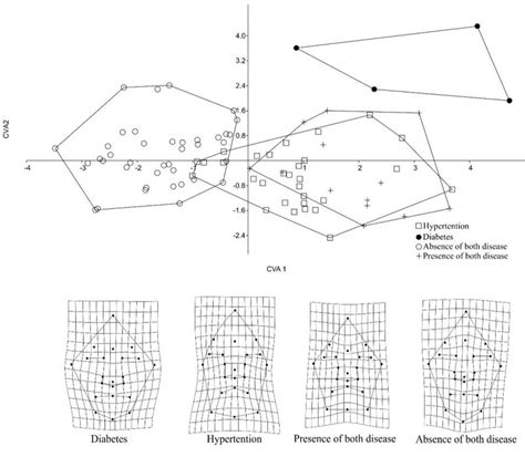 Dispersion Graph Related To The Analysis Of The Main Components For The