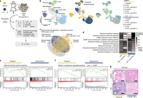Scrna Seq Analysis Reveals Context Specific Responses Of Tumor Cells Download Scientific