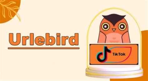 Urlebird A Comprehensive Guide Profiles Networth