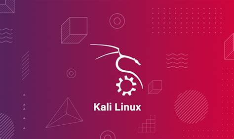 Teach Kali Linux And Pentesting By Sahib Code Fiverr