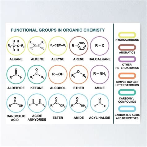 Functional Groups In Organic Chemistry Poster For Sale By