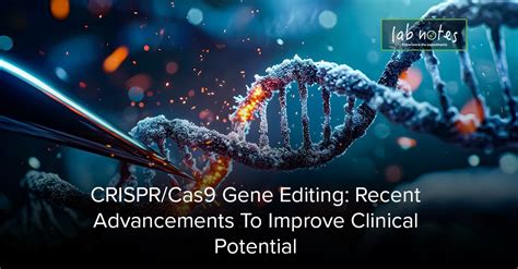 Crispr Cas9 Gene Editing Recent Advancements To Improve Clinical Potential