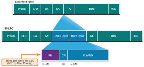 Ccna 3 V70 Curriculum Module 9 Qos Concepts