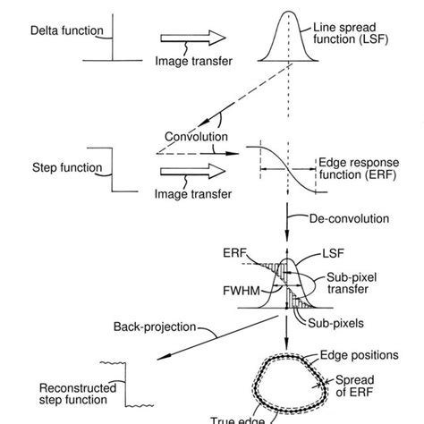Figure B The De Convolution Technique Download Scientific Diagram
