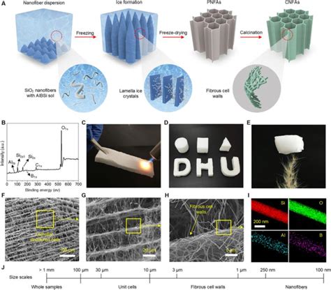Fabrication Process Of Sio2 Nanofiber Aerogel Cnfas A Schematic