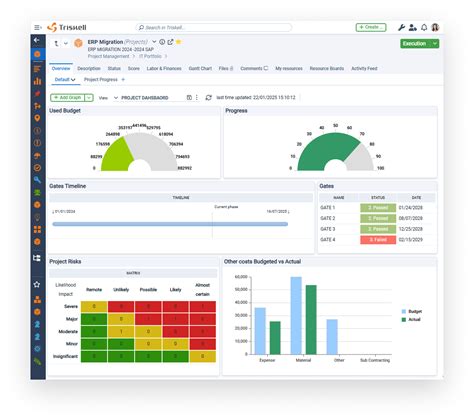 10 Examples Of Pmo Dashboards For Project Management Triskell