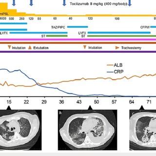 Clinical Course Of The Patient The Graphs Display The C Reactive Download Scientific Diagram