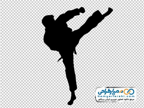 عکس وکتوری مرد کاراته کار 11295119