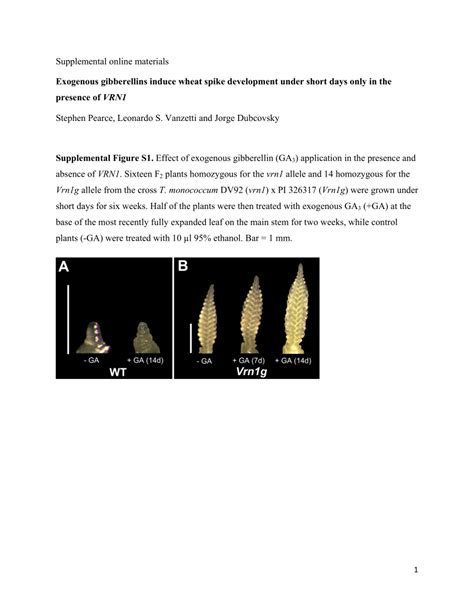 Pdf Pearce Et Al 2013 Ga And Wheat Spike Development Som