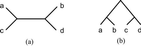Phylogenetic Tree Definition Types Steps Methods Uses Biology Notes Online
