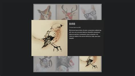 React Animations FreeFrontend