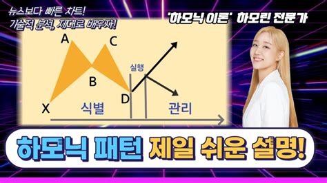 뉴스보다 빠른 차트 기술적 분석 제대로 배우자 하모닉 패턴 제일 쉬운 설명 │ 하모닉패턴 하모린 트레이딩뷰 Youtube