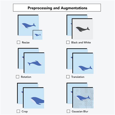 When To Use Grayscale As A Preprocessing Step