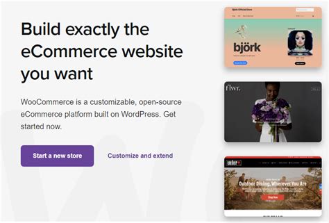 Best Low Or No Code Tools For Building WordPress Sites Conditional Blocks