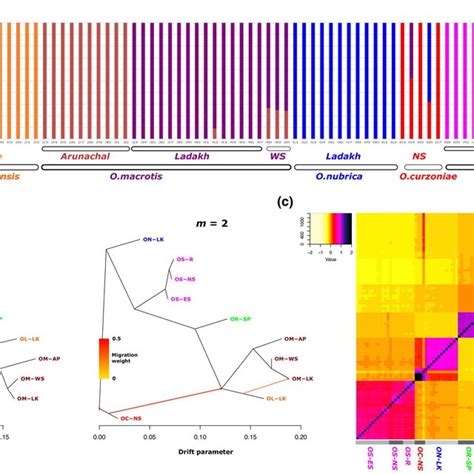A Admixture Plot Illustrating Ancestry Among Asian Pikas For K 7 Download Scientific