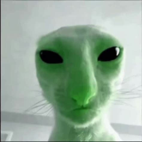 Green Alien Pfp By Bella Green Alien Pfp By Bella
