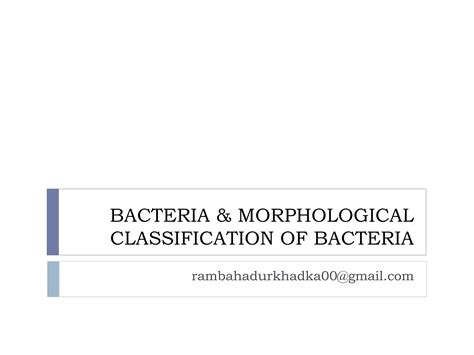 Morphological Classification Of Bacteria Pptx