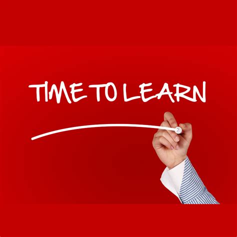 Understand The Learning Process Mickie Teaches