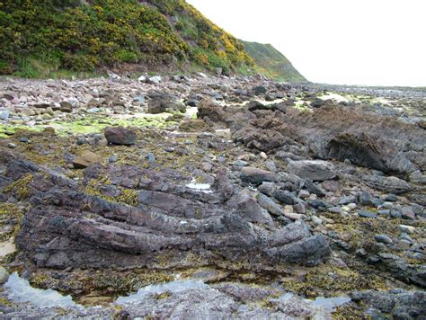Scotland North Uk Fossil Collecting