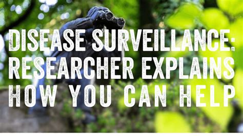 Disease Surveillance Read This Interview And Find Out How You Can Help · Break Dengue