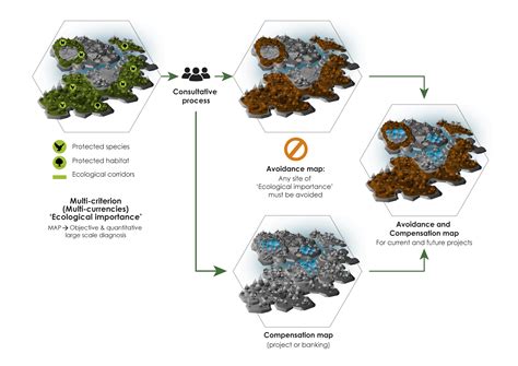 343 Compensation Strategic And Spatial Planning Biodiversity